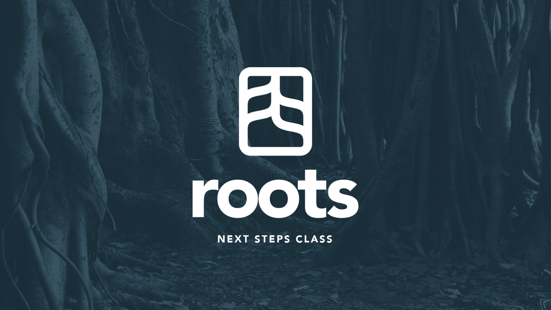 Roots | Thrive Church