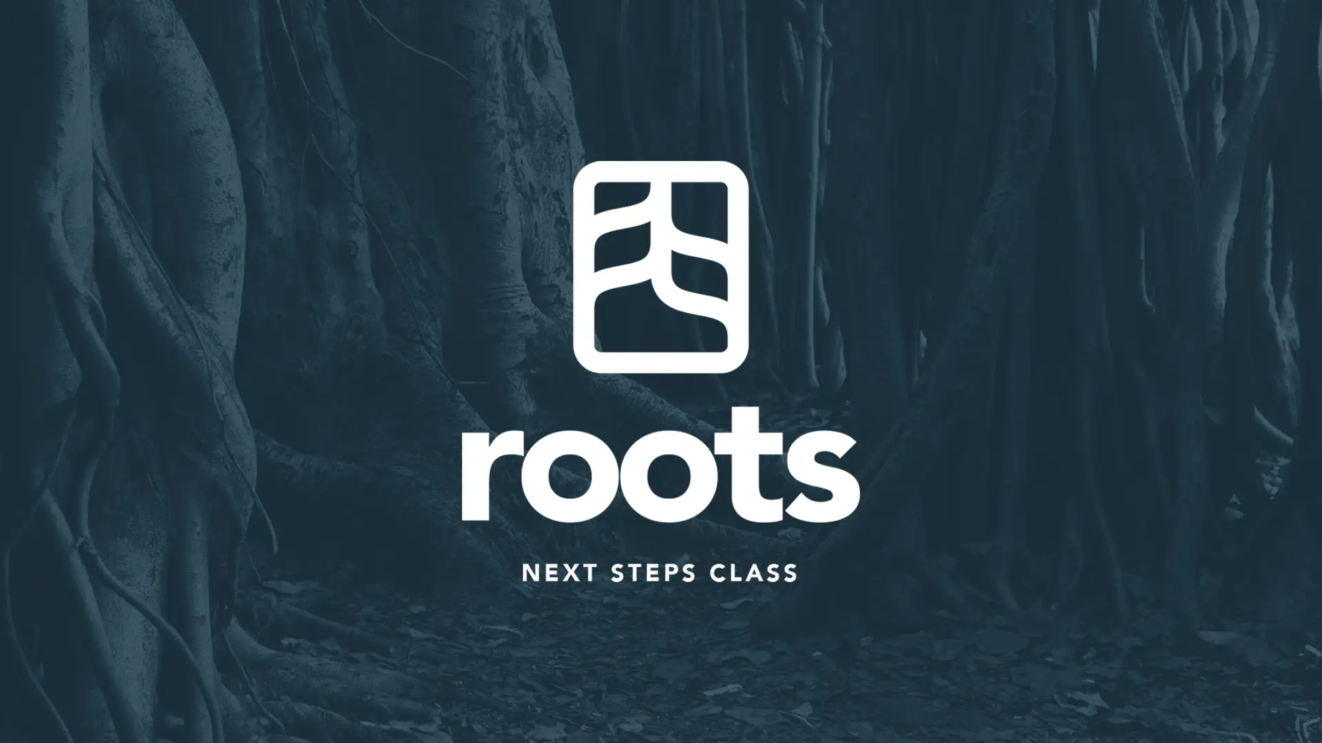 Roots | Thrive Church
